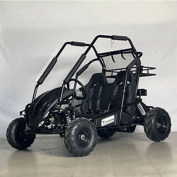 Buggy sk 200 tao motor (Niños) - rxmotochile