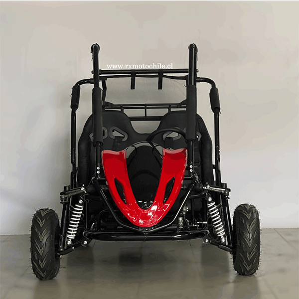 Buggy sk 200 tao motor (Niños) - rxmotochile